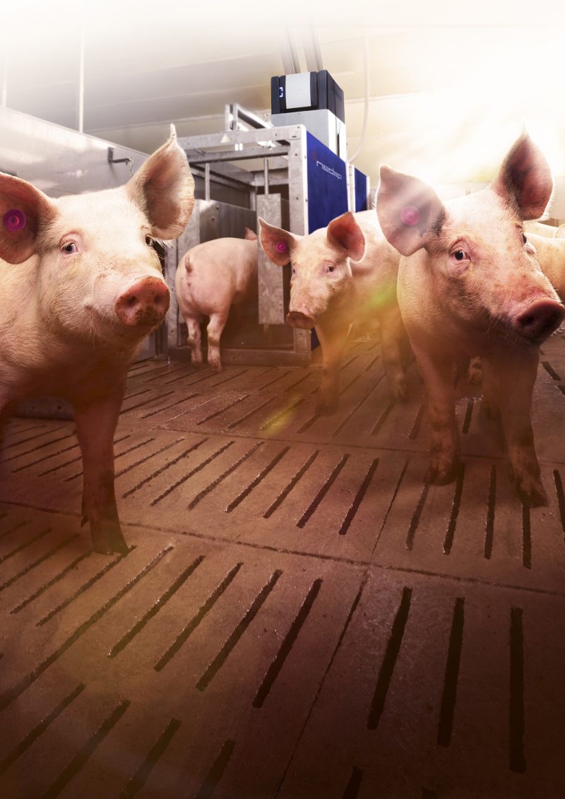 Pig Performance Testing | Jenisys