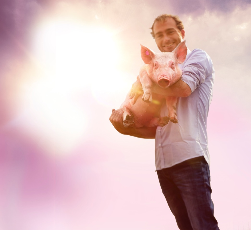 Pig Farming | Jenisys